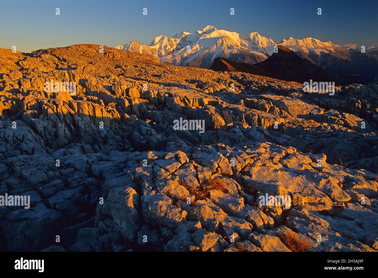 Desert of plate hi-res stock photography and images - Alamy