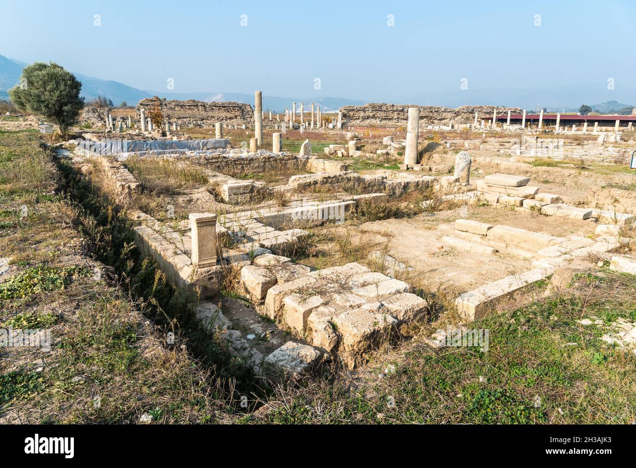 The site of the Propylon of Artemision in Magnesia on the Maeander ...