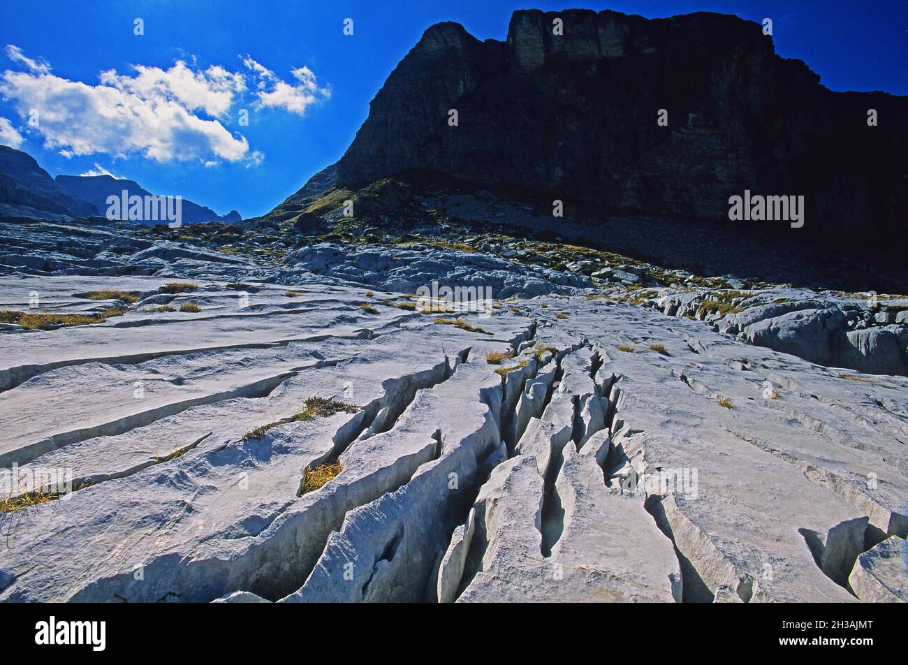 FRANCE. HAUTE-SAVOIE (74) DESERT OF PLATE (DESERT DE PLATE Stock Photo ...