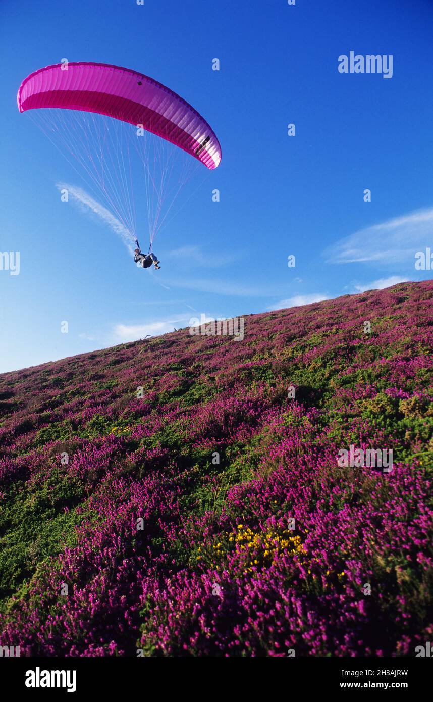 FRANCE. MANCHE (50) NORMANDY REGION. COTENTIN PENINSULA (PRESQU'ILE DU ...