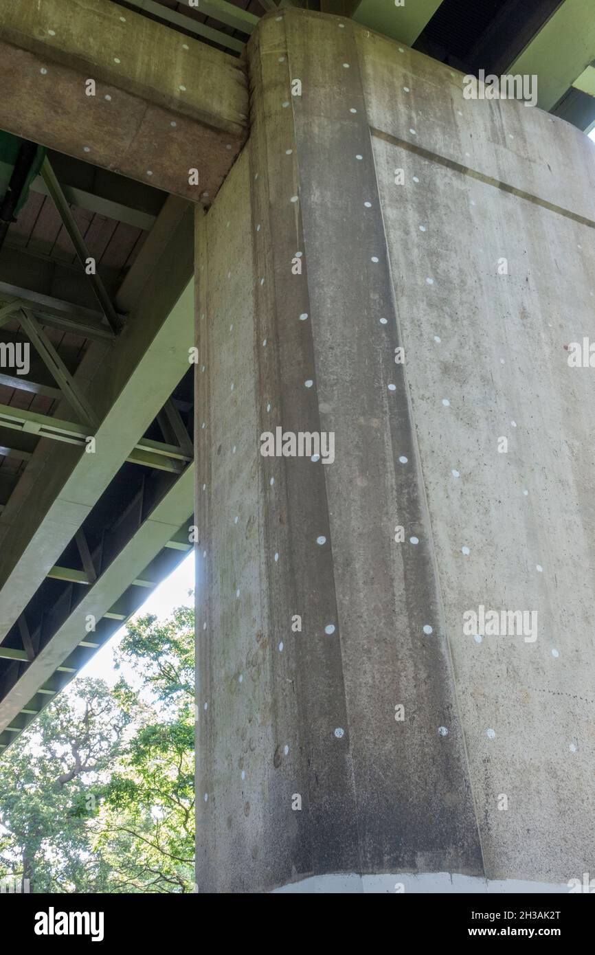 White dots on the concrete base of the M4 flyover in Boston Manor Park ...