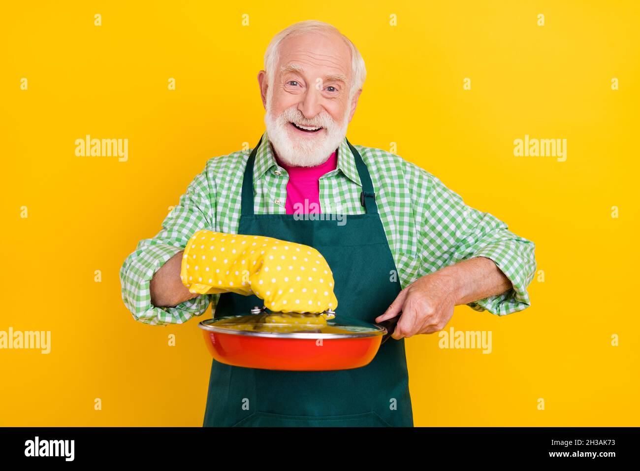 Portrait of attractive elderly trendy cheerful grey-haired man chef ...