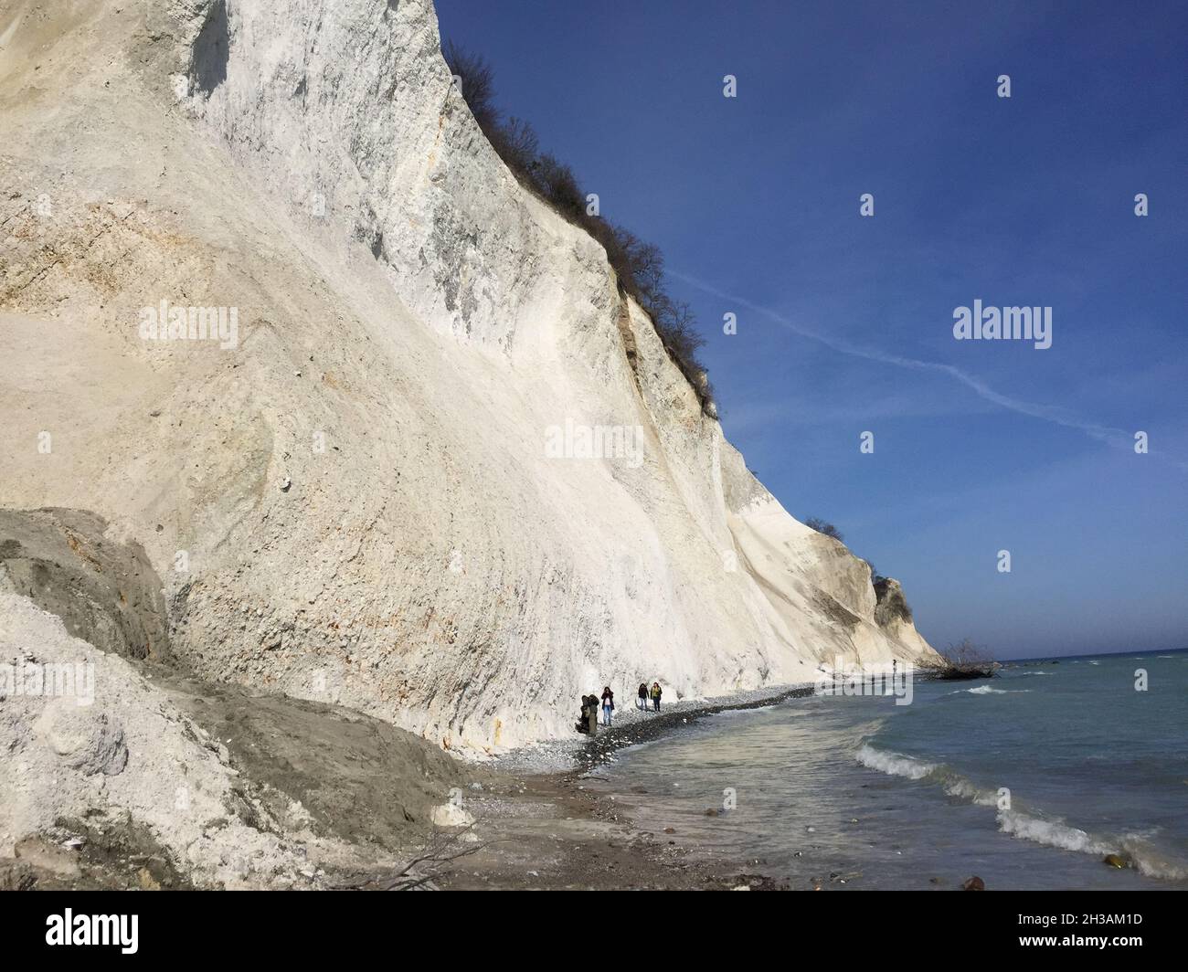 Beautiful view of Mons Klint, the highest cliff in Denmark, limestone ...