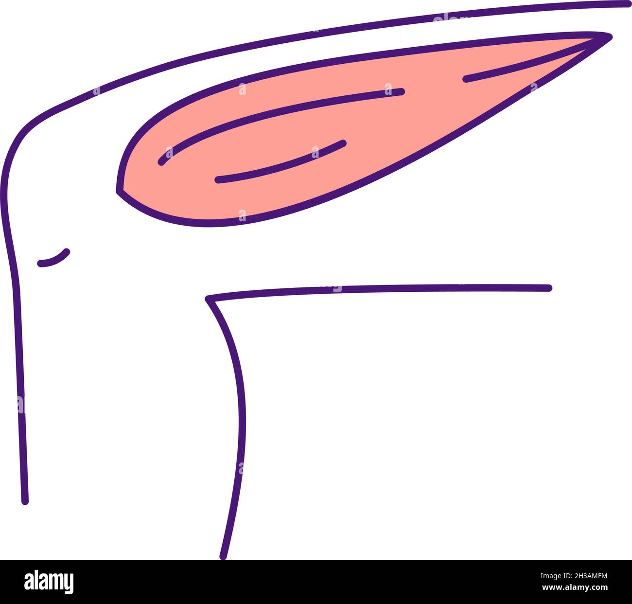 Upper leg muscle RGB color icon Stock Vector Image & Art - Alamy