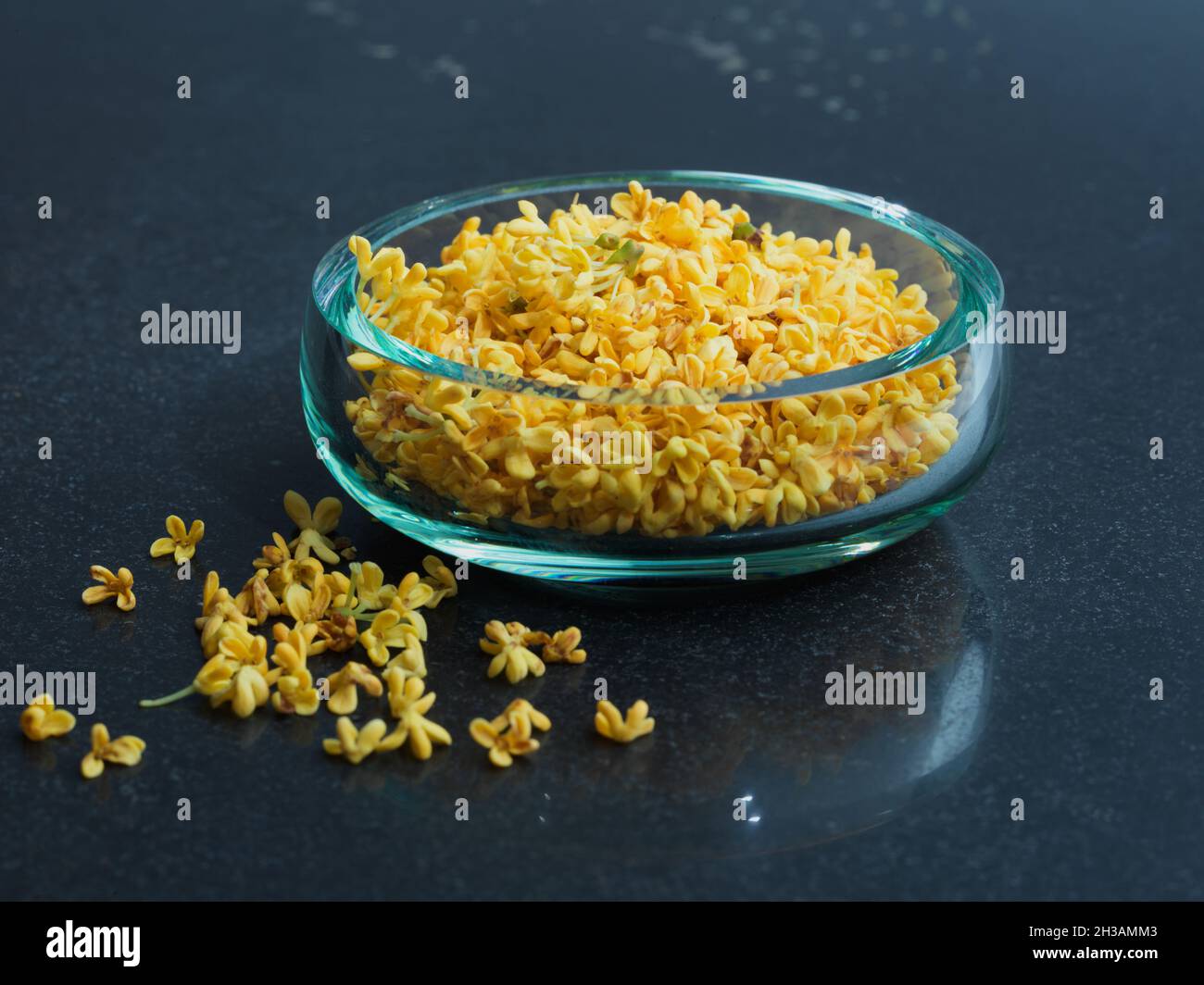Osmanthus fragrans osmanthus fragrans hi-res stock photography and ...