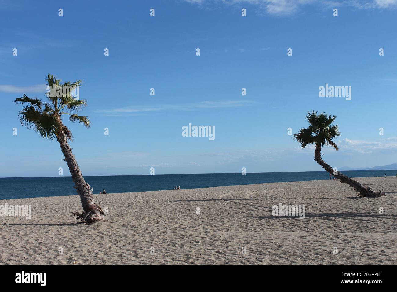 Baignade sur la plage hi-res stock photography and images - Alamy