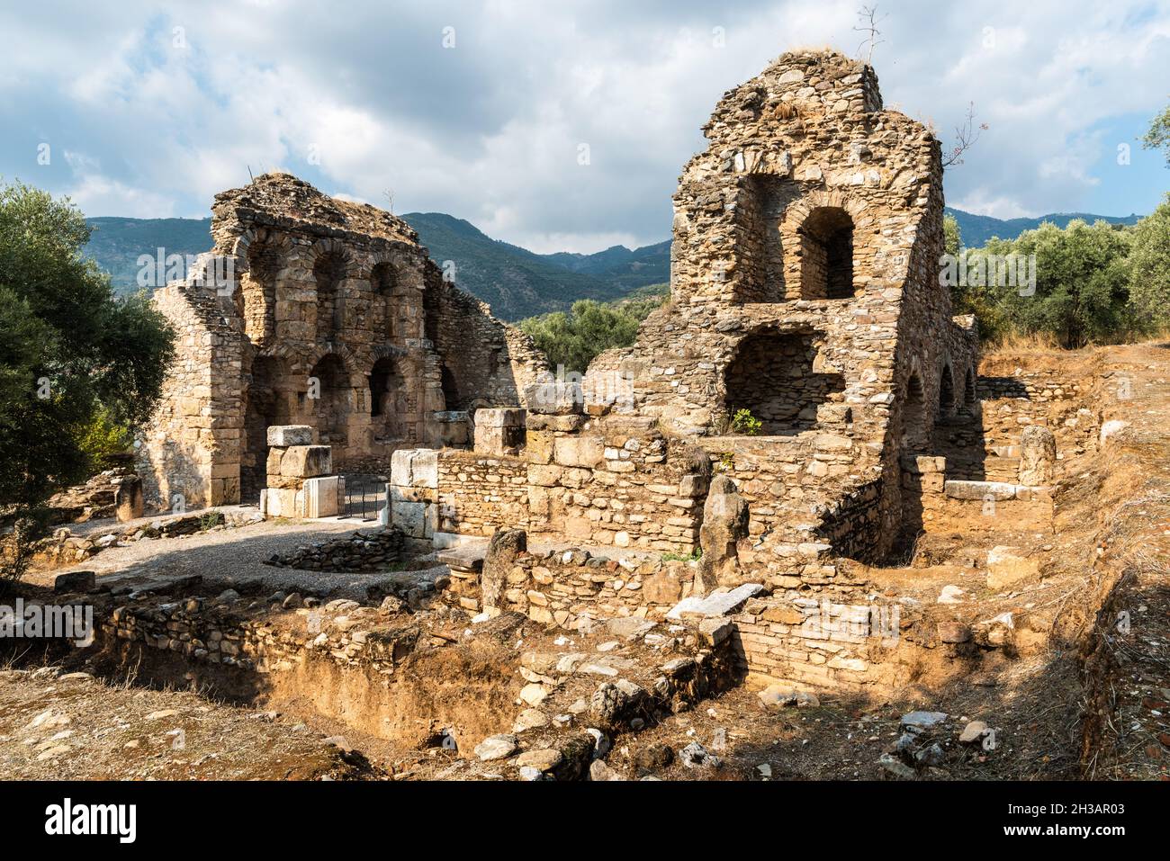 Ruins of the library at Nysa ancient site in Aydin province of Turkey ...