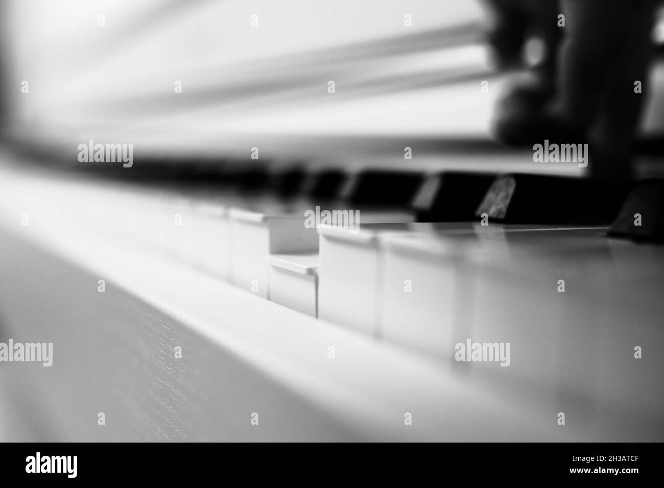 Piano keys and one pressed. Black and white photo. Abstract photo Stock ...