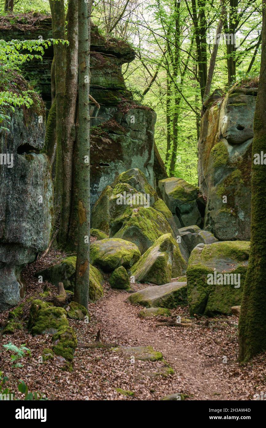 Forest landscape with hiking path leading through rocks in Mullerthal ...