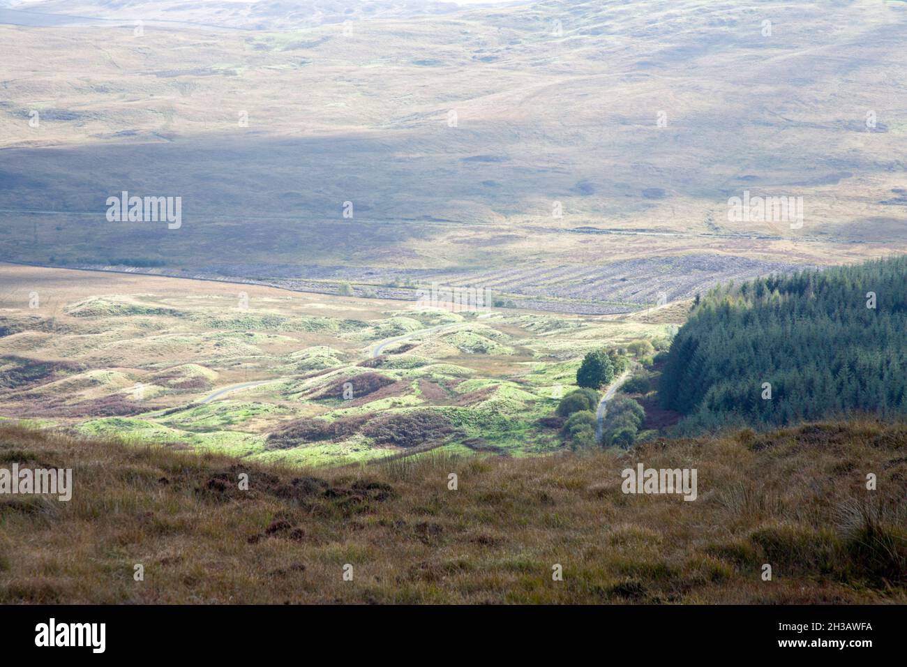 Drumlins part of the glacial landscape at Dromore Dumfries and Galloway Scotland Stock Photo - Alamy