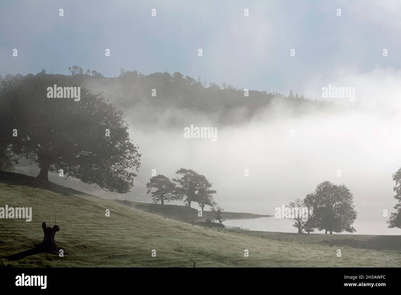 Misty morning Esthwaite Water near Hawkshead the Lake District Cumbria ...