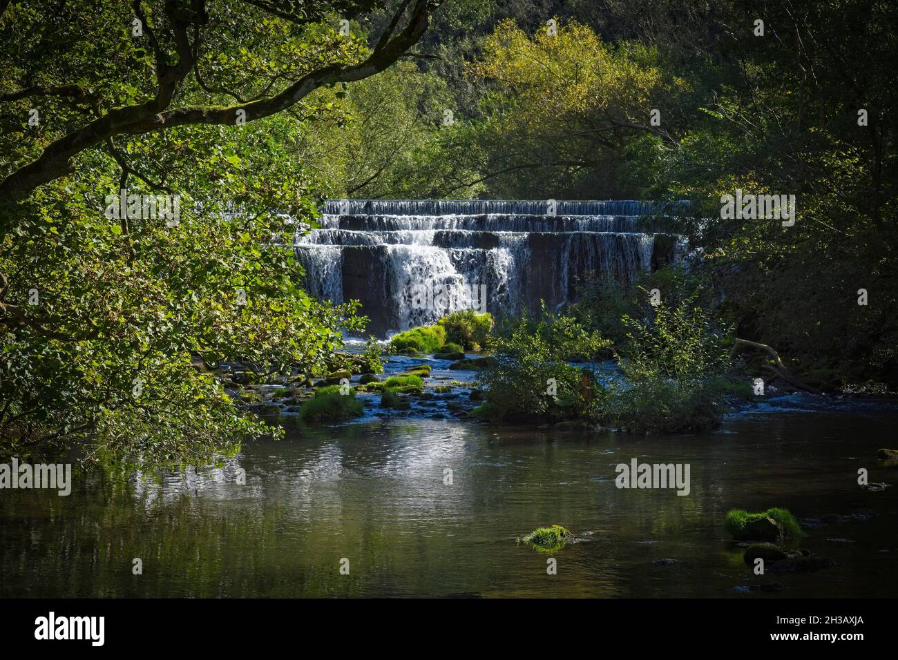 The River Wye falls over a weir surrounded by trees and bushes in ...