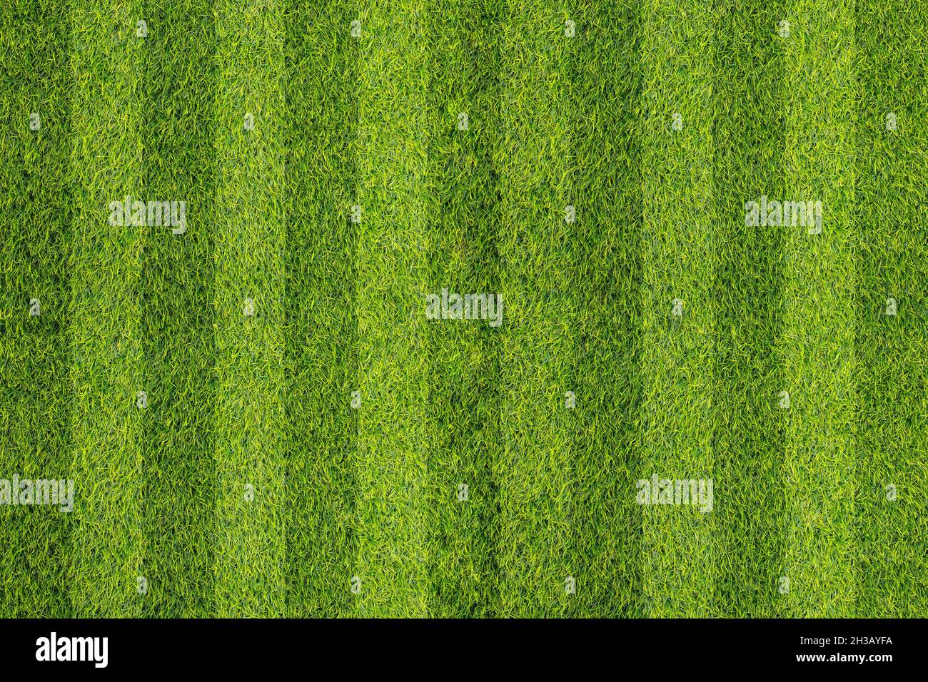 stripe grass soccer field. Green lawn Stock Photo - Alamy
