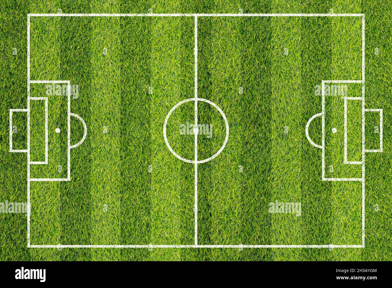 stripe grass soccer field. Green lawn with white lines pattern ...