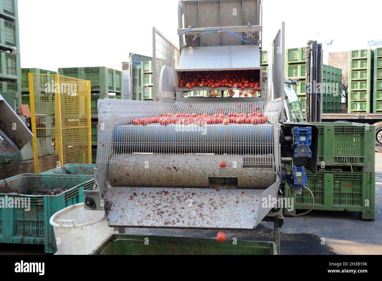 Melfi ( Potenza ) - August. 30.2016 - Factory processing for tomato ...
