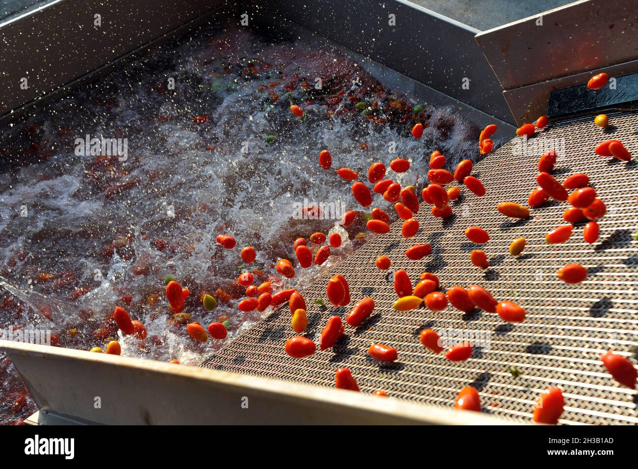 Tomato factory hi-res stock photography and images - Alamy