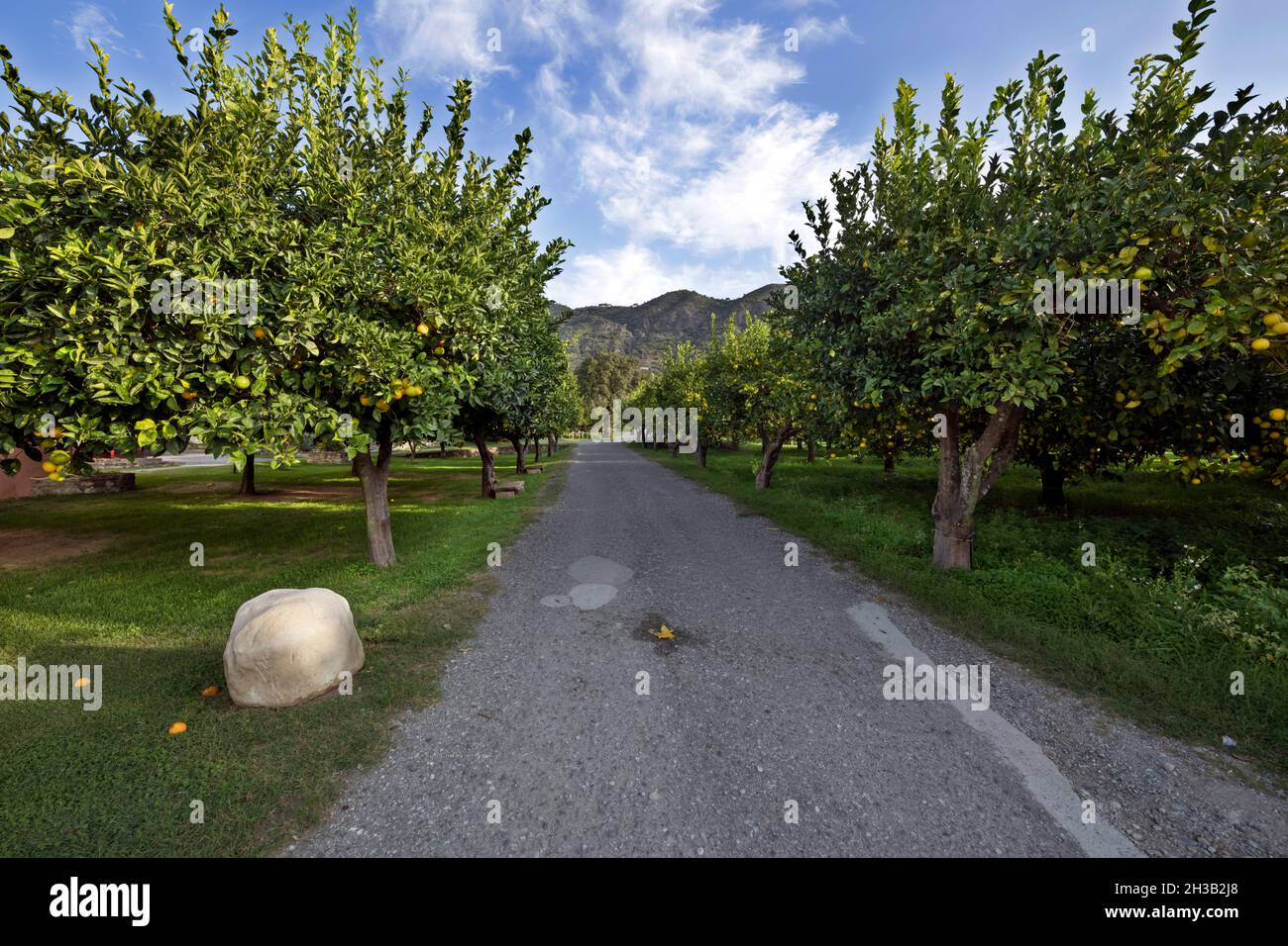 Italy, Calabria, Locri (Rc), holiday farm Stock Photo - Alamy