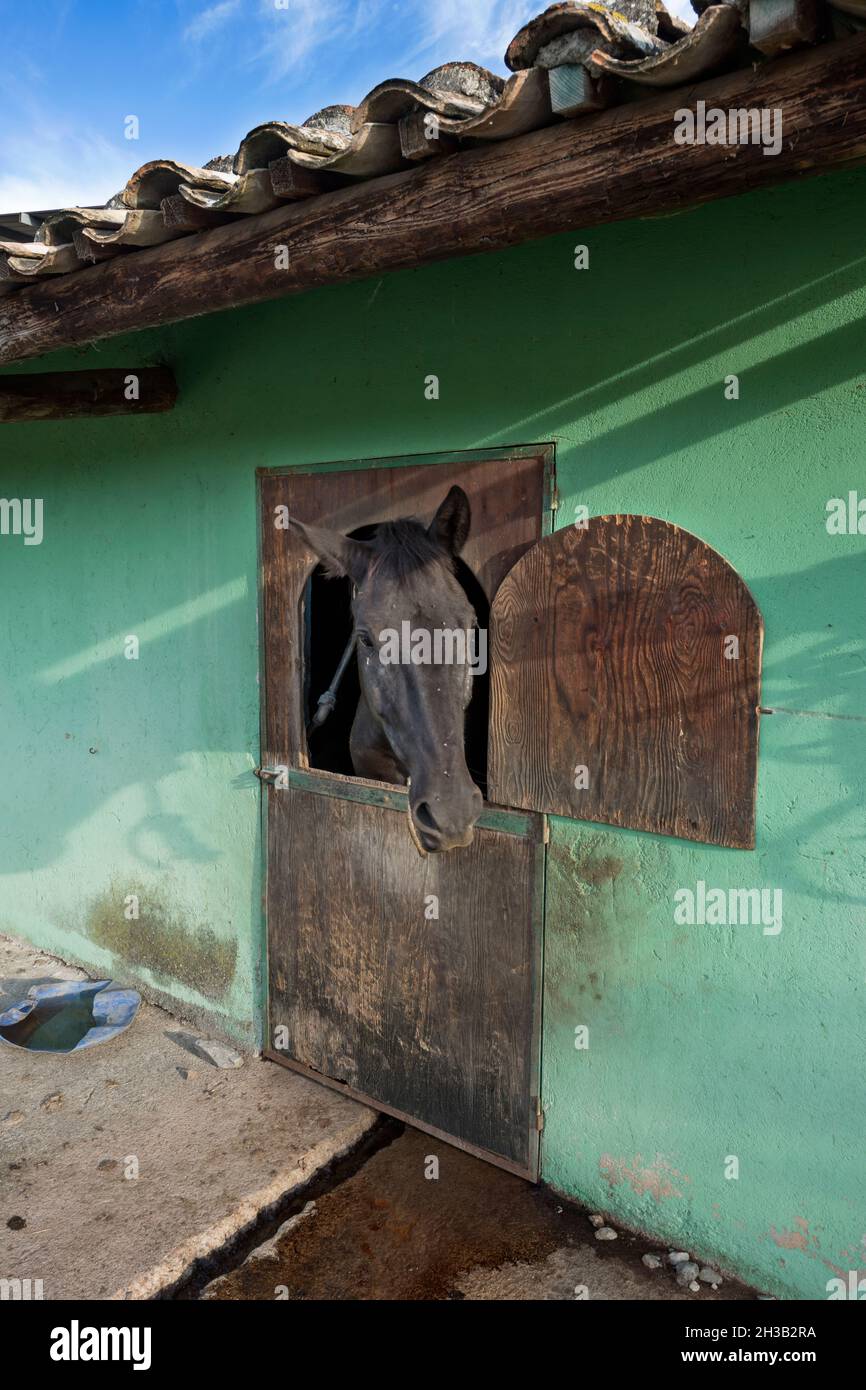 Holiday in farm hi-res stock photography and images - Alamy