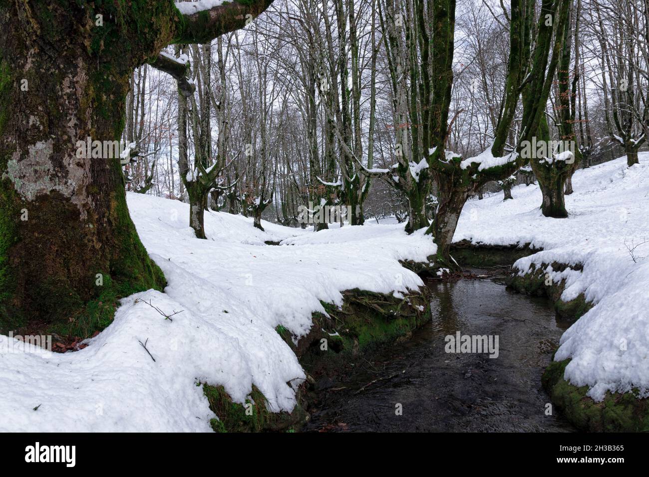 Crossing ice creek hi-res stock photography and images - Alamy