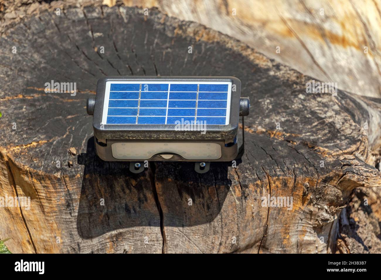 Led solar tree hi-res stock photography and images - Alamy