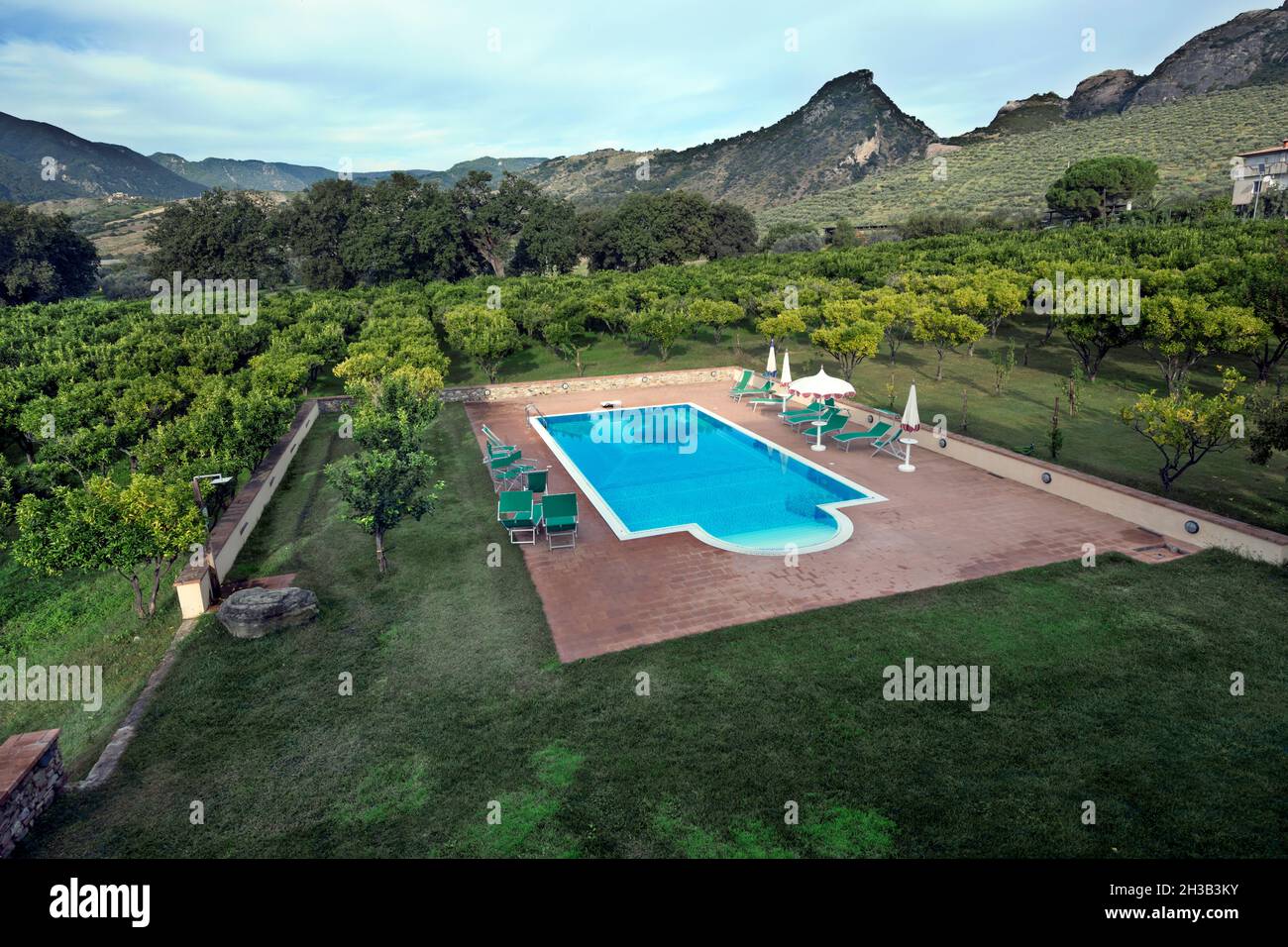 Olive grove calabria italy hi-res stock photography and images - Alamy