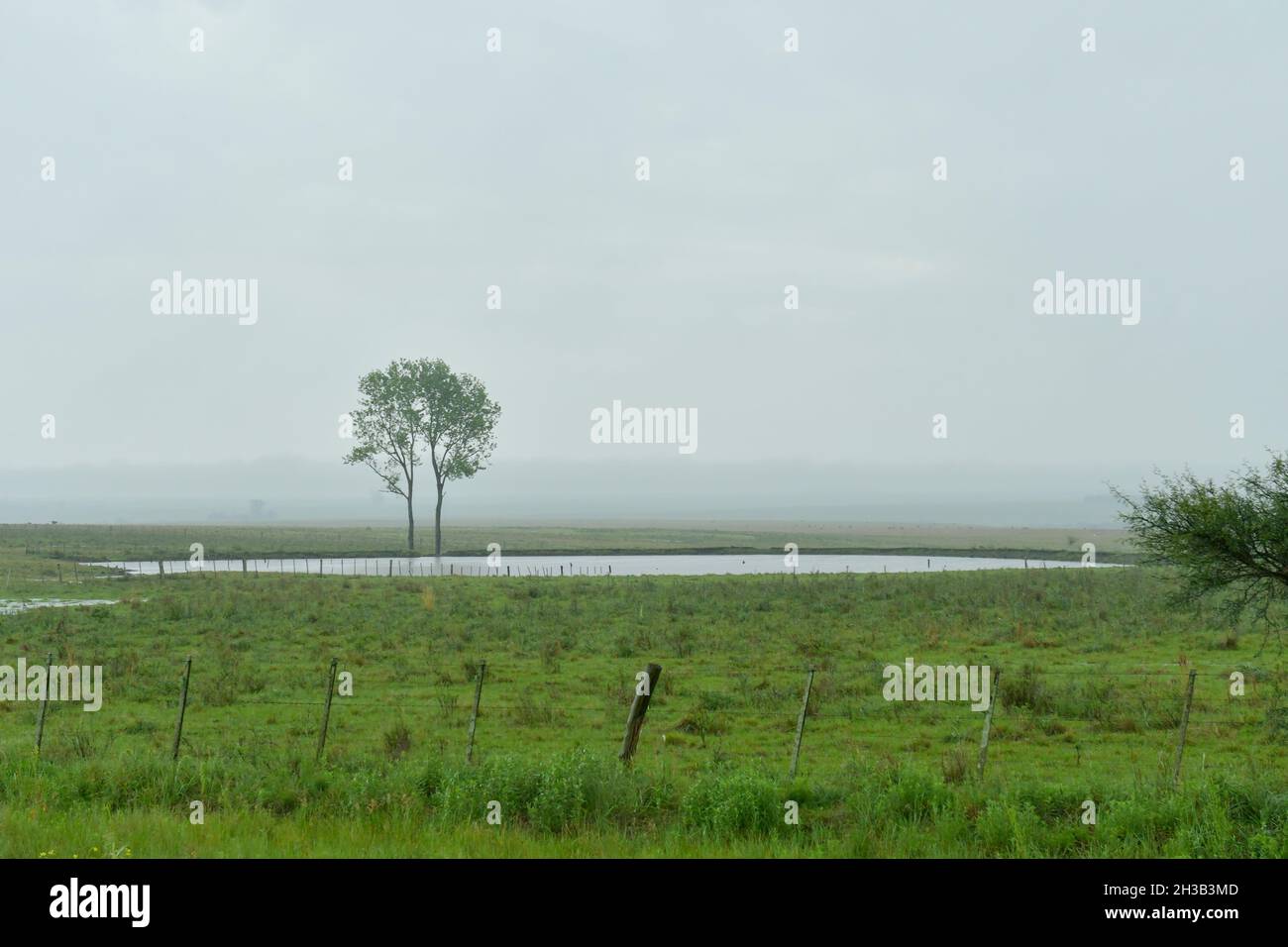Uruguayan ranch hi-res stock photography and images - Alamy