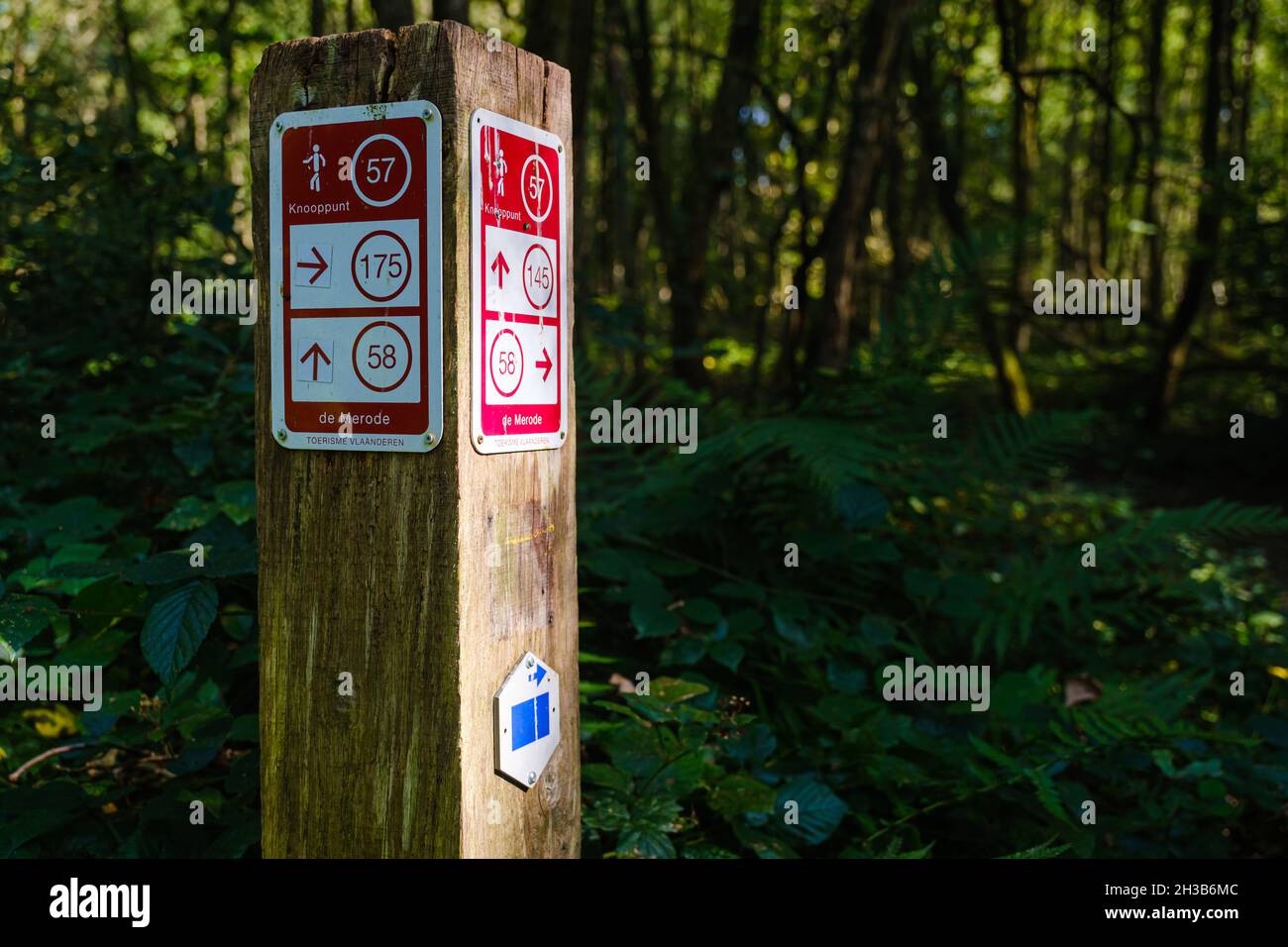 Wooden column with walking and bicycle direction signs Stock Photo - Alamy