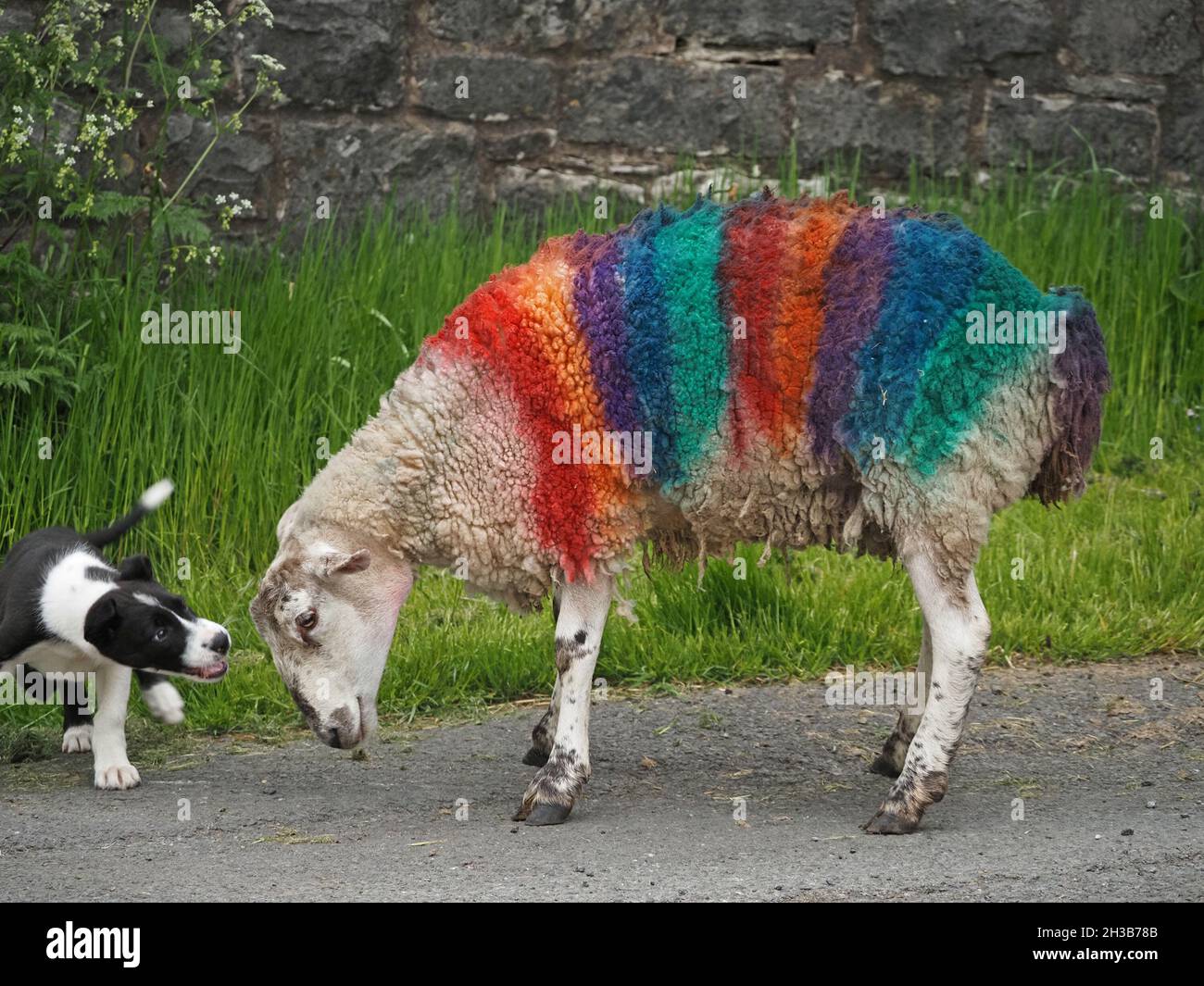 Bright rainbow colours hi-res stock photography and images - Alamy