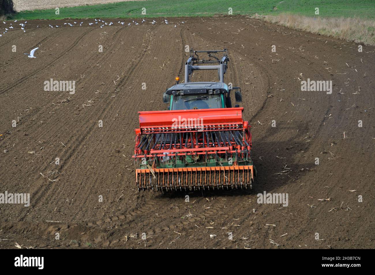 Tractor sowing in a field in Brittany Stock Photo - Alamy