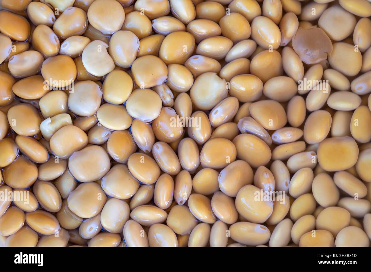 Lupini bean hi-res stock photography and images - Alamy