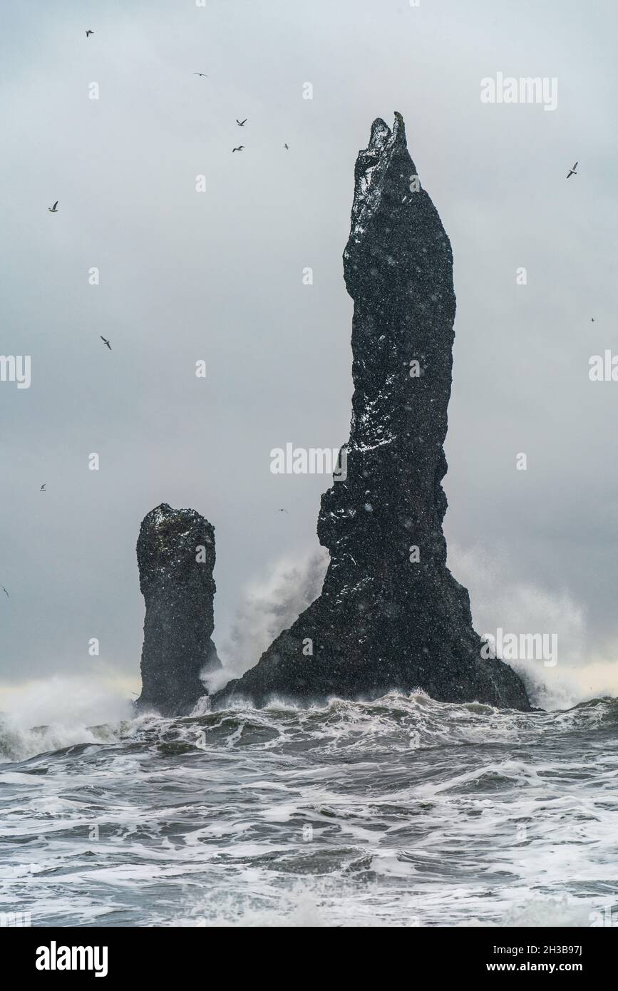 Basalt rock formations Troll toes on black beach. at storm Reynisdrangar, Vik, Iceland Stock ...
