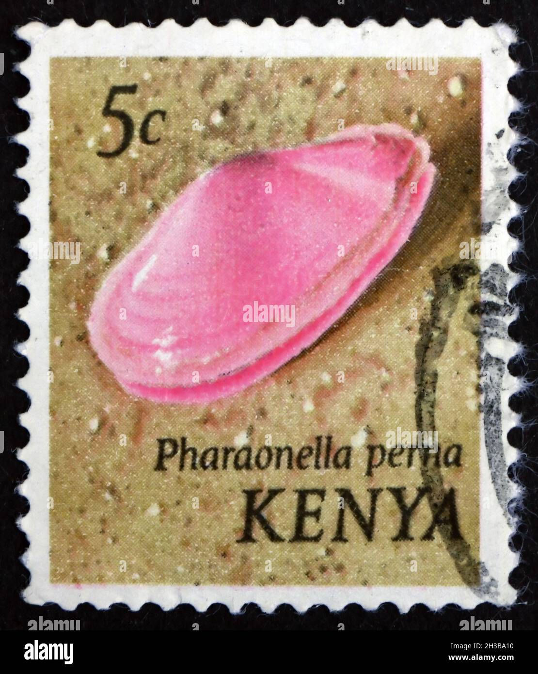 KENYA - CIRCA 1971: a stamp printed in Kenya shows Pharaonella Perna, Sea Shell, circa 1971 ...