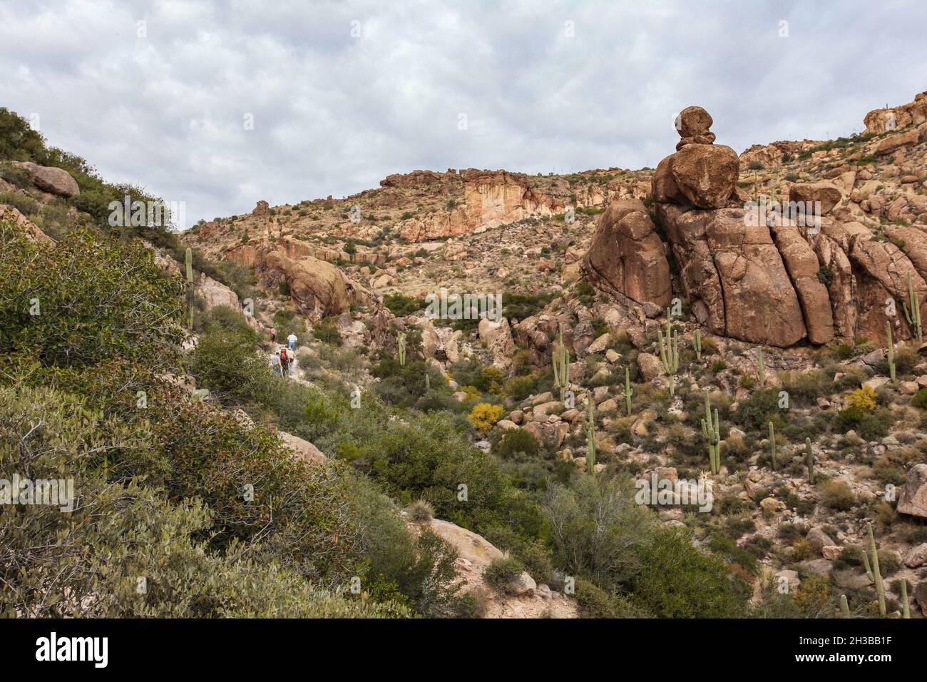 The Peralta Canyon Trail - a great hike in the western Superstition ...