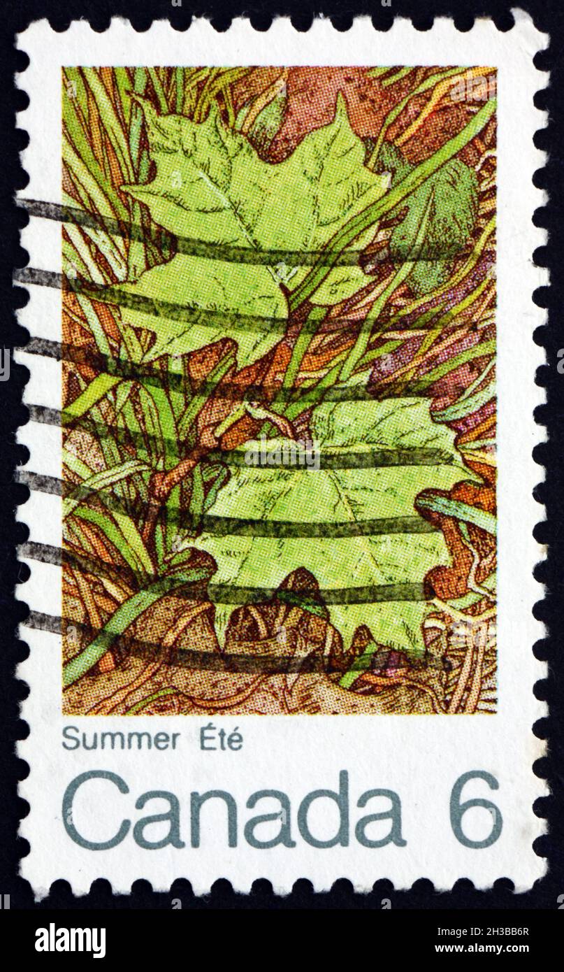 CANADA - CIRCA 1971: a stamp printed in Canada shows maple leaves in ...