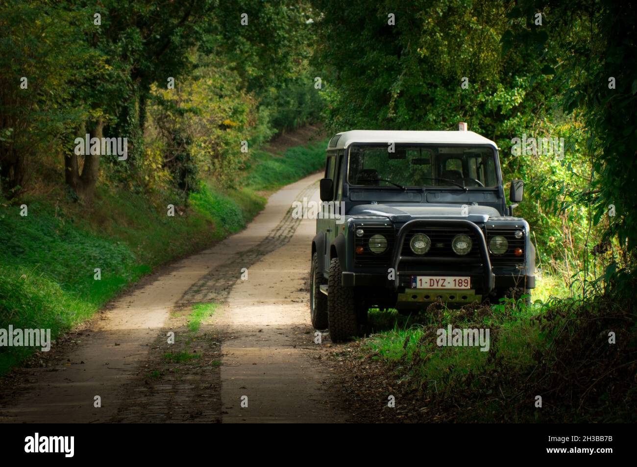 land rover in a forest Stock Photo - Alamy