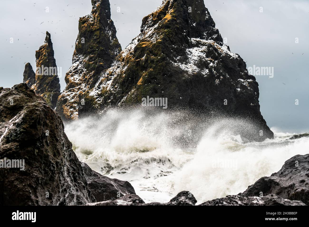 Basalt rock formations Troll toes on black beach. at storm ...