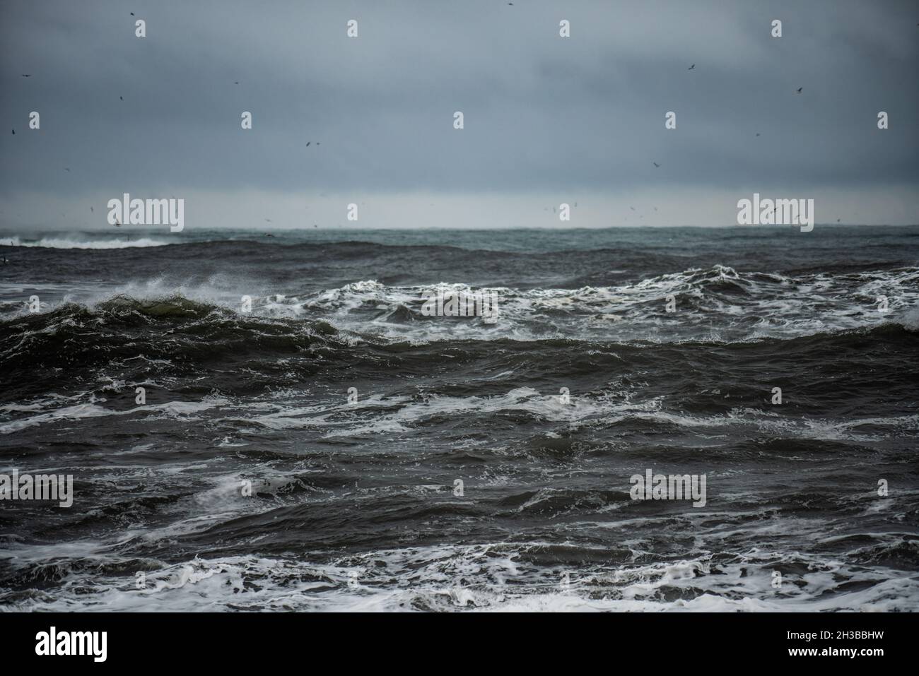 Stormy waves at black volcanic beach near famous Reynisfjara rocks at ...