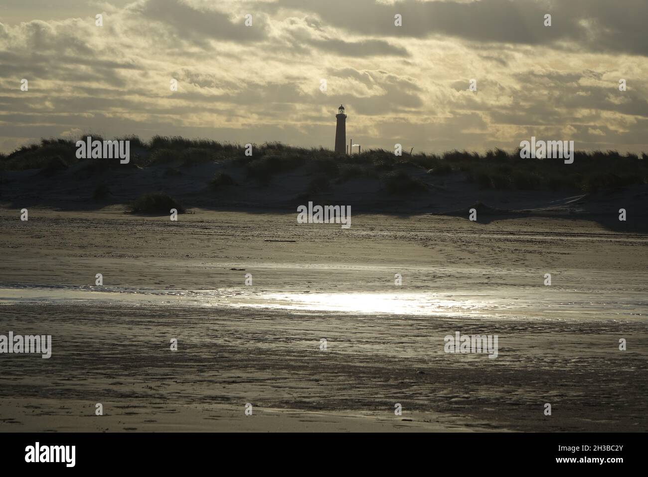 Scenic view on Skagens Fyr Lighthouse under a steely sky at dusk, Cape ...