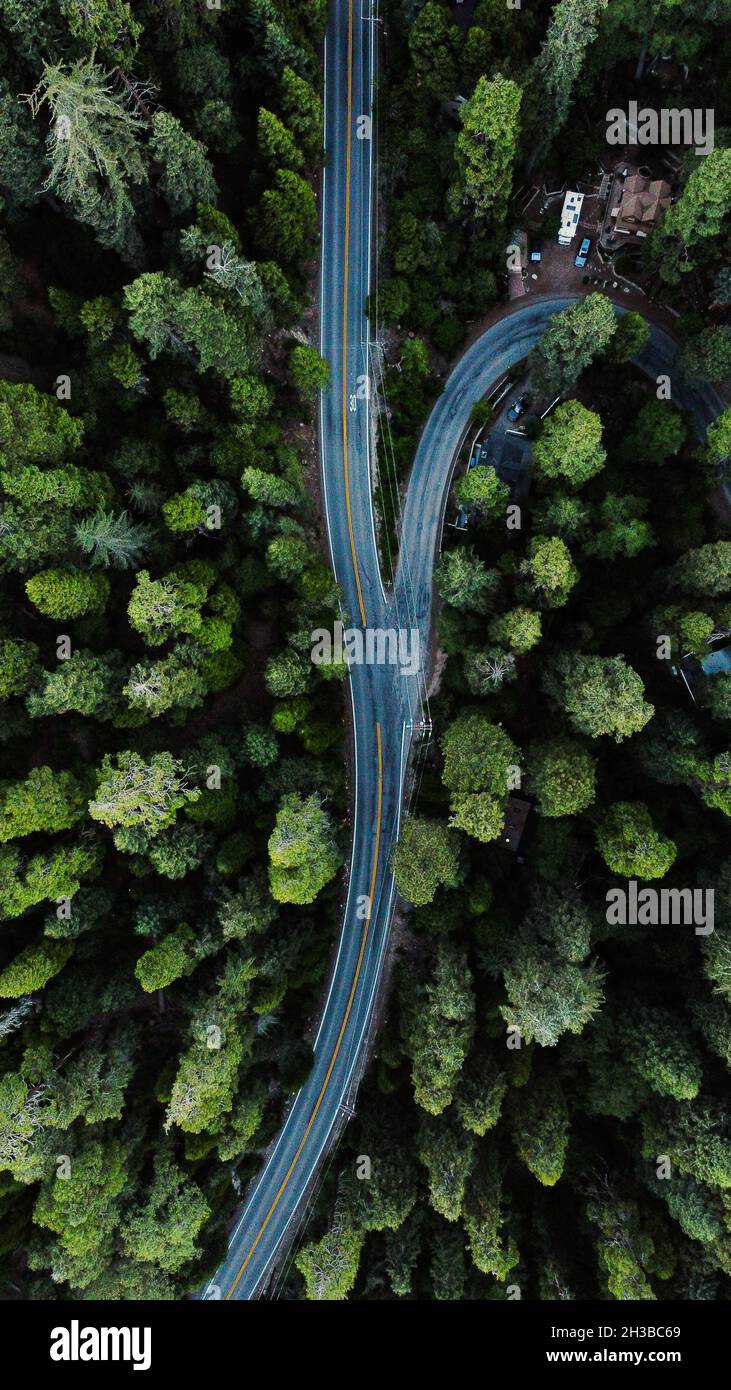 Top view of a country road in the middle of a forest in the countryside ...