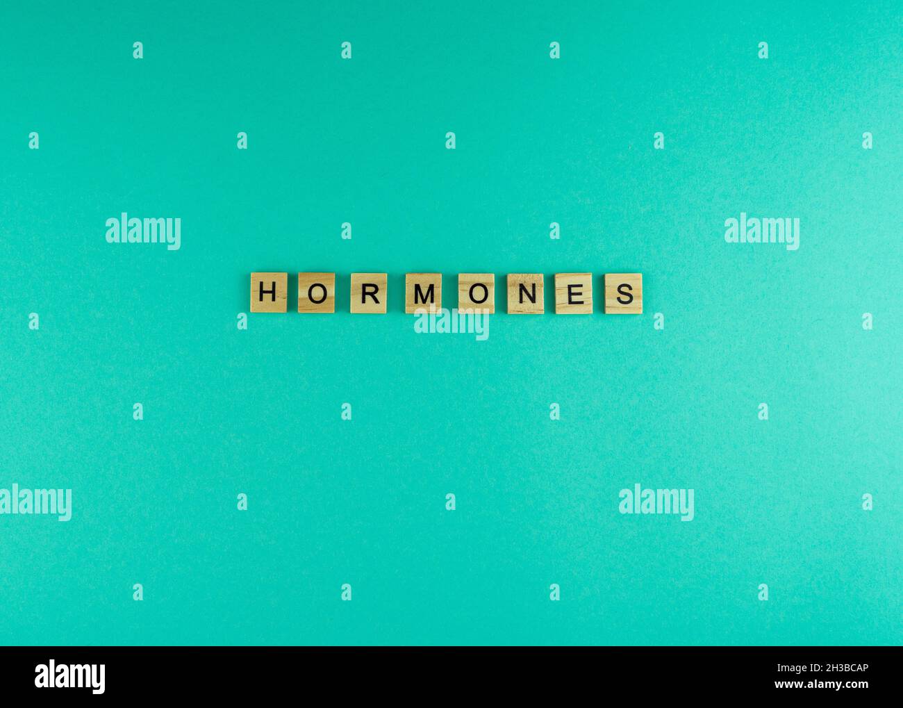 Word hormones. The phrase is laid out in wooden letters. Top view ...