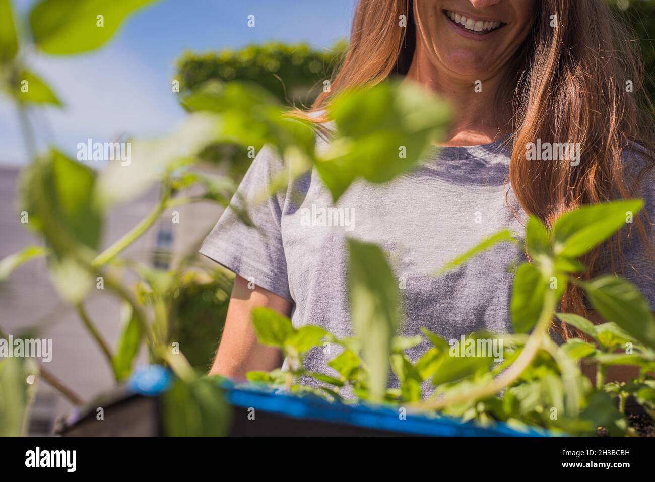 Urban farming & gardening on the rooftop Stock Photo - Alamy
