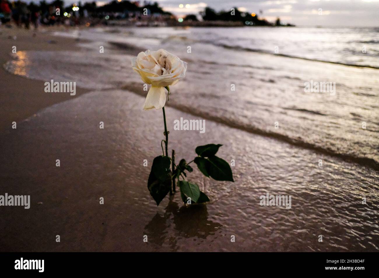 February 2nd is celebrated as the day of Lemanja. The day when the ...