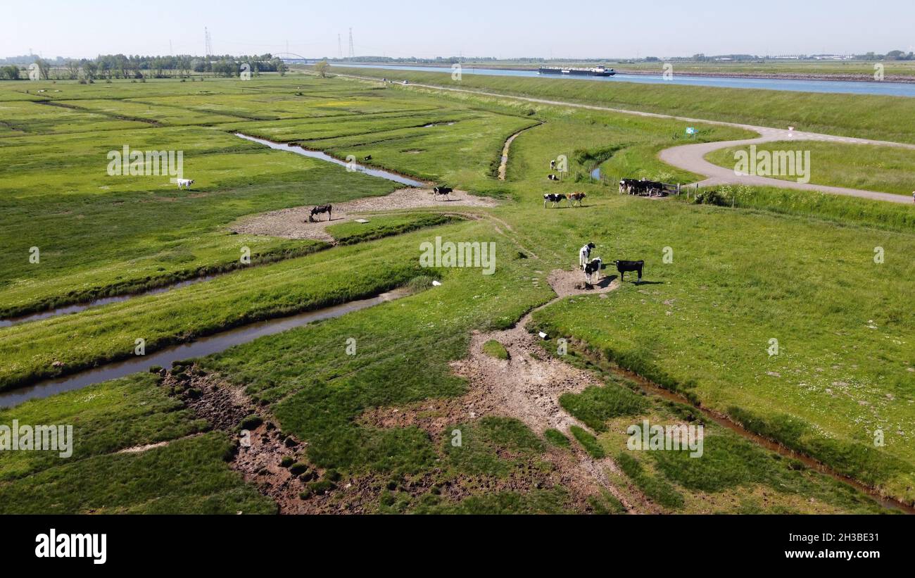 Aerial view on green polders, meadows and water transportion channel in ...