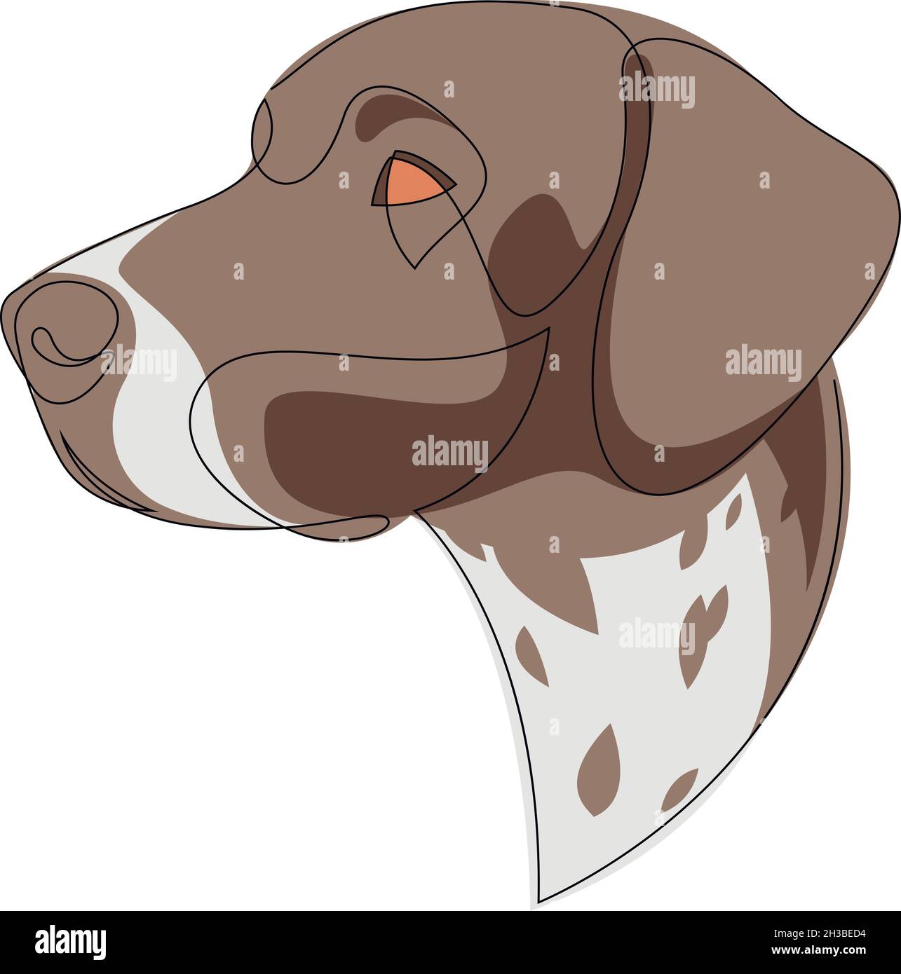 German short haired pointer standing Stock Vector Images - Alamy