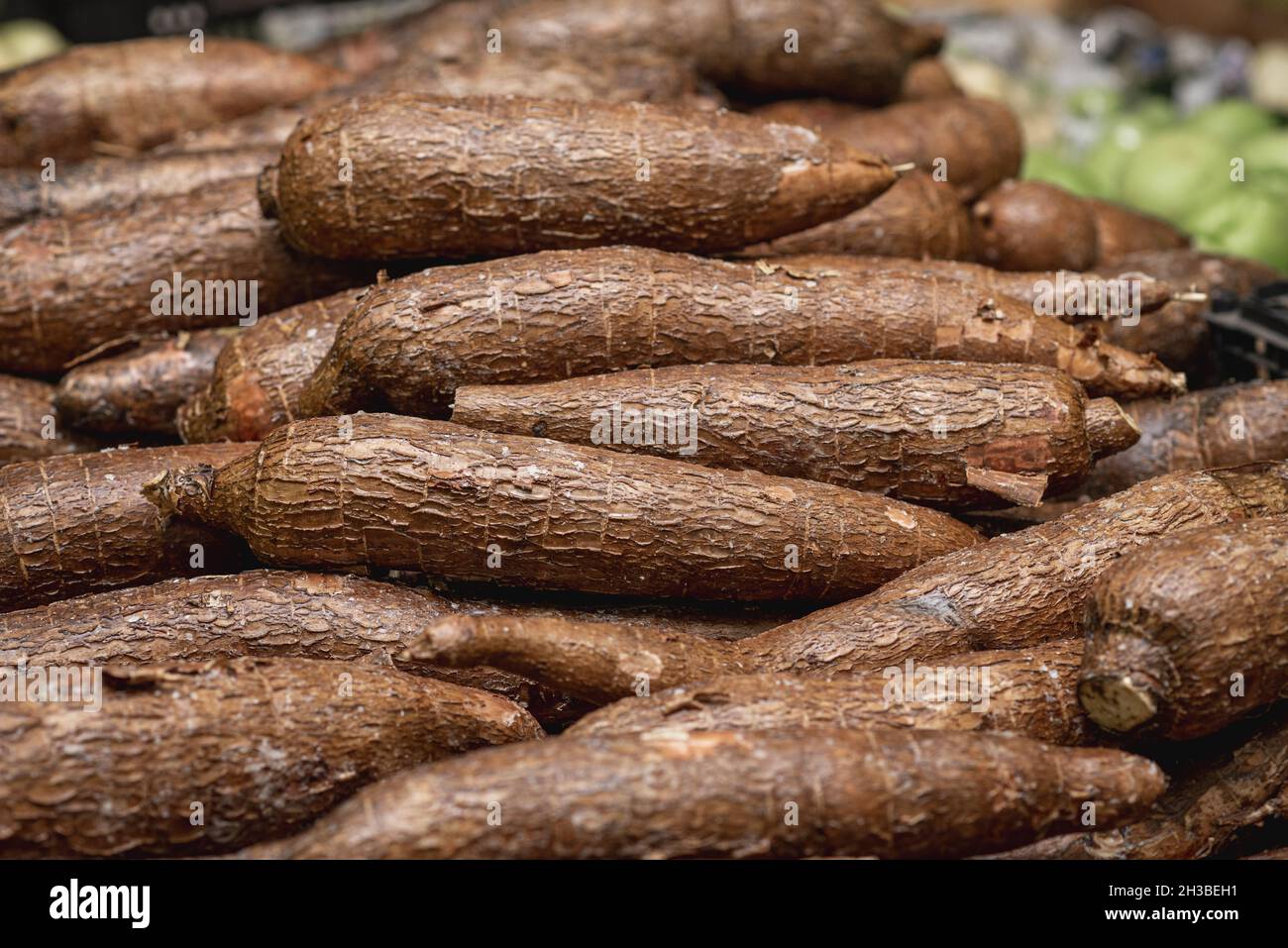 Cassavas hi-res stock photography and images - Alamy