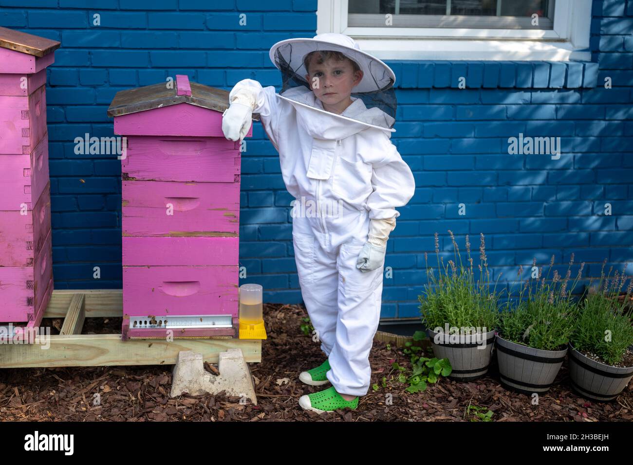 Portrait of a child beekeeper leaning on his hives Stock Photo - Alamy