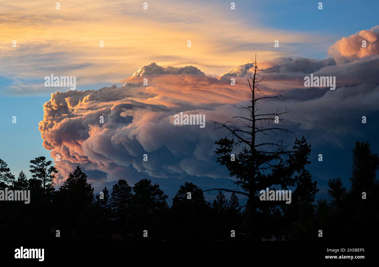 Smoke of wildfire hi-res stock photography and images - Alamy