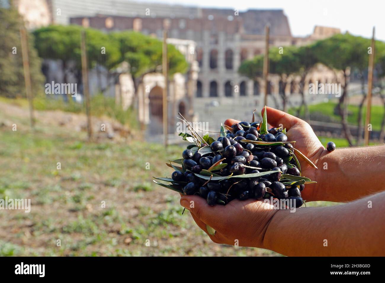 Italy, Rome, october 27, 2021 : Inside the Archaeological Park of the ...