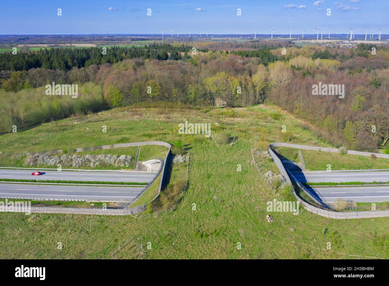 Aerial view over wildlife crossing / wildlife overpass / animal bridge ...
