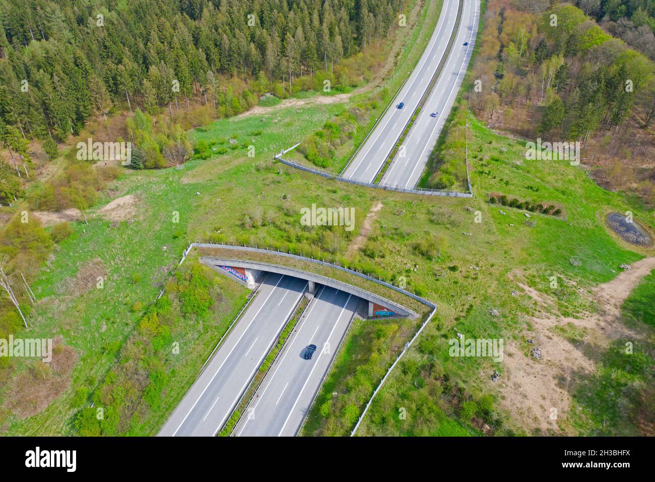 Aerial view over wildlife crossing / wildlife overpass / animal bridge ...